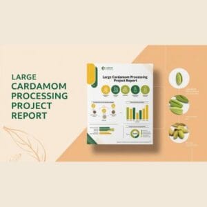 Large Cardamom Processing Project Report for Download